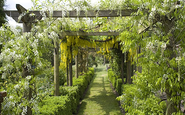 Discover Personalised Holistic Care at KYN Bickley | KYN