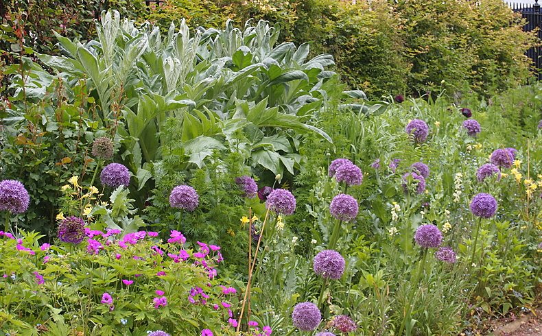 Discover Personalised Holistic Care at KYN Bickley, Bromley | KYN