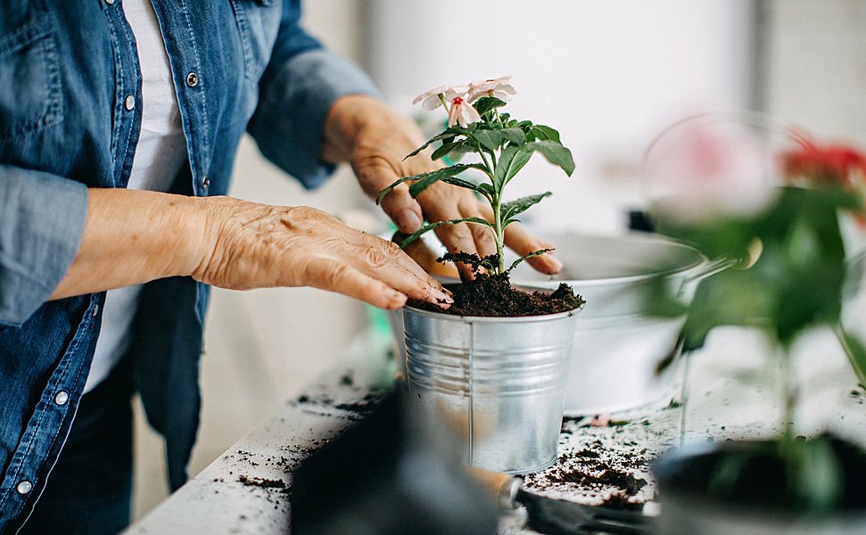 Discover More About Life at KYN | KYN